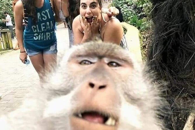 Private tour, discover the beauty of bali - The Sum Up