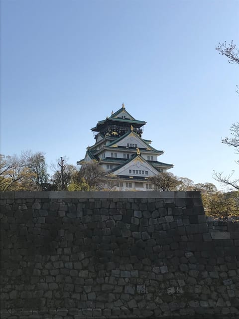 Private Tour: Discover the Best of Osaka With a Local Guide - Key Points