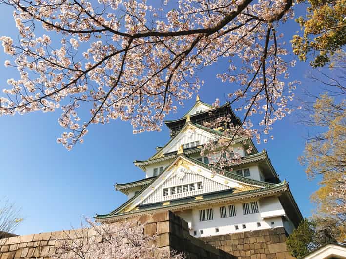 Private Tour: Discover the Best of Osaka With a Local Guide - Itinerary and Highlights