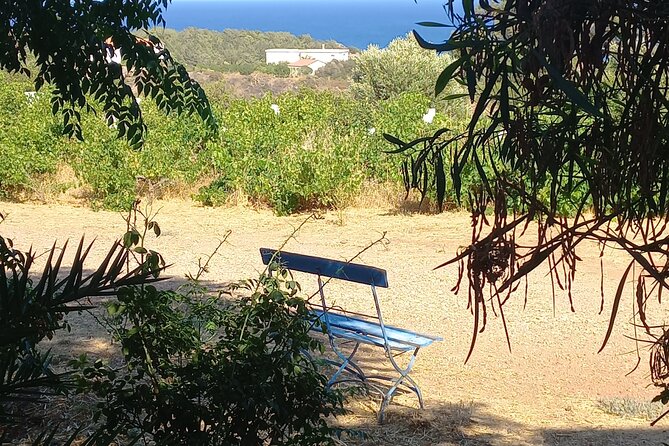 Private Tour: Discover the Secret World of Olives in Afantou - Exploring the Olive World: What to Expect on the Tour