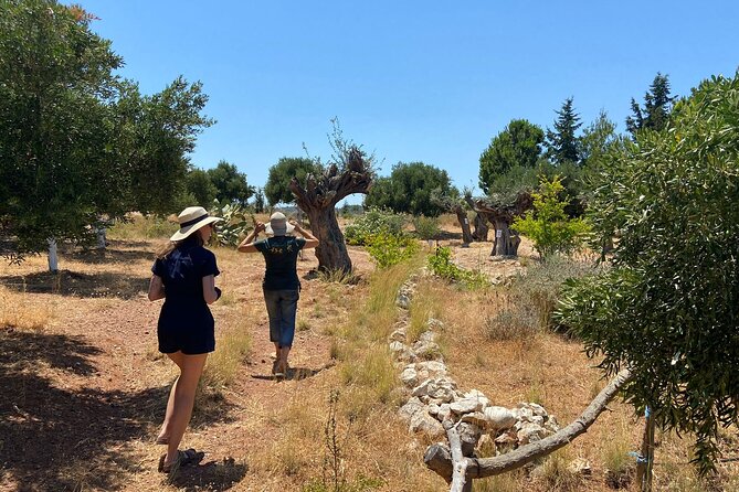 Private Tour: Discover the Secret World of Olives in Afantou - Who Will Love This Tour?