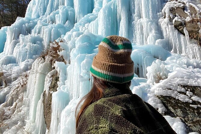 Private Tour: DMZ Aegibong & Korean Culinary Workshop Experience - Who Should Book This?