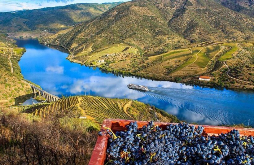 Private Tour: Douro Valley Wine and Food from Oporto - Key Points