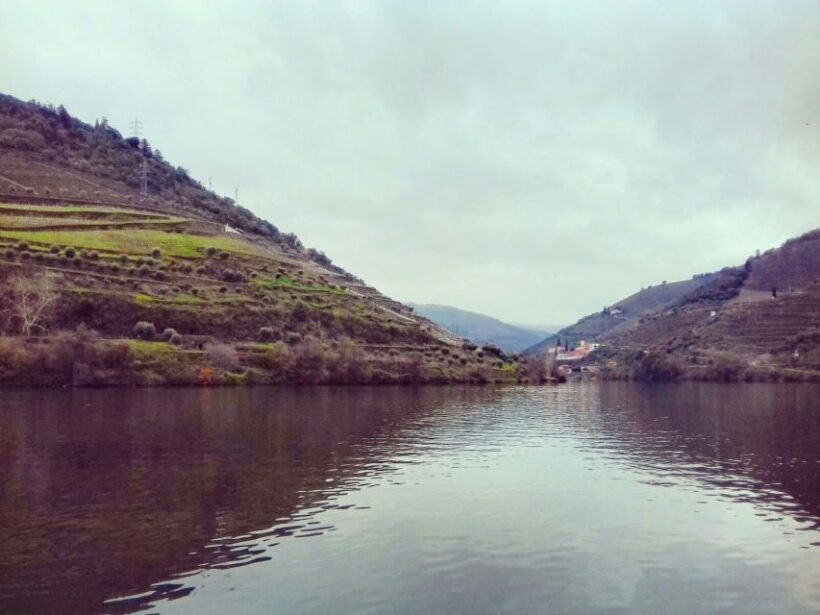 Private Tour: Douro Valley Wine and Food from Oporto - An In-Depth Look at the Douro Valley Private Tour