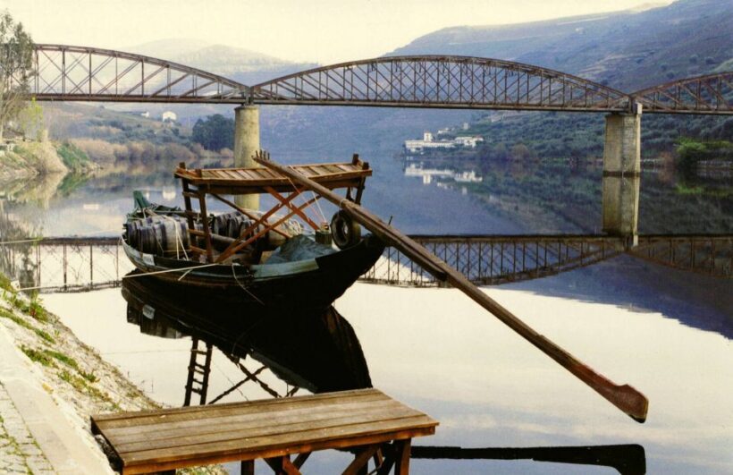 Private Tour: Douro Valley Wine and Food from Oporto - Authentic Experiences & Genuine Feedback