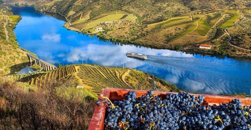 Private Tour: Douro Valley Wine and Food from Oporto - Final Thoughts: Who Would Love This Tour?