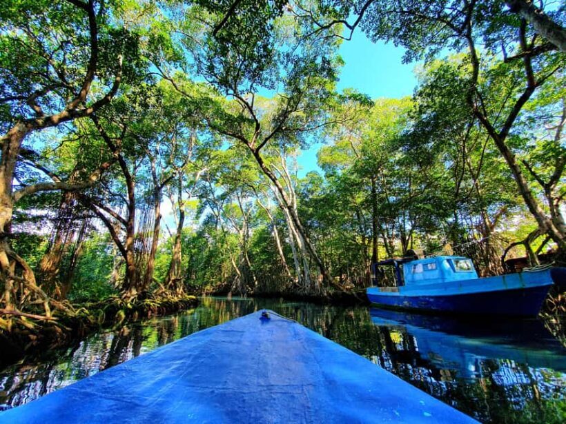 Private tour: Dudu cenotes + Playa Grande Beach + much more - An In-Depth Look at the Tour Itinerary