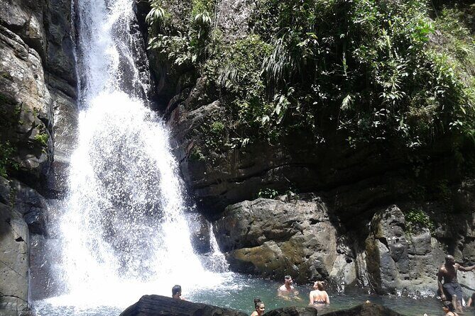 Private Tour El Yunque Rainforest swimming waterfall - Key Points