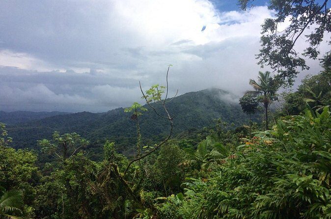 Private Tour El Yunque Rainforest swimming waterfall - Final Thoughts: Is It Worth It?