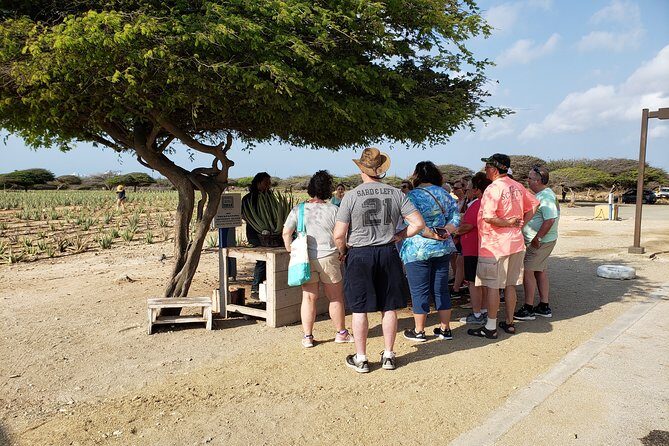 Private Tour: Essential Tour of Aruba - An In-Depth Look at the Aruba Essential Tour