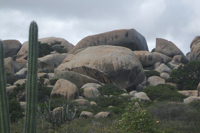 Private Tour: Essential Tour of Aruba - FAQ