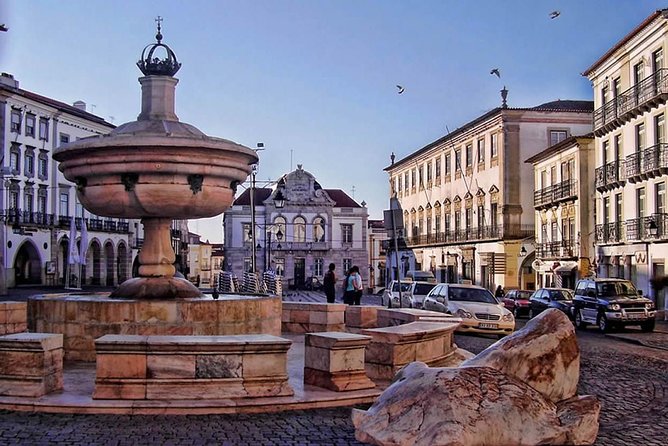 Private Tour Evora and optional Wine Tasting From Lisbon - Comfort, Flexibility, and Value