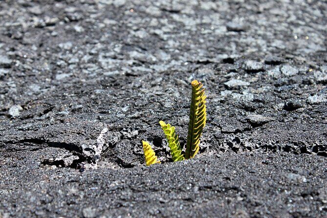 Private Tour: Experience Active Kilauea Volcano & Hilo Rainbow Falls - Final Thoughts