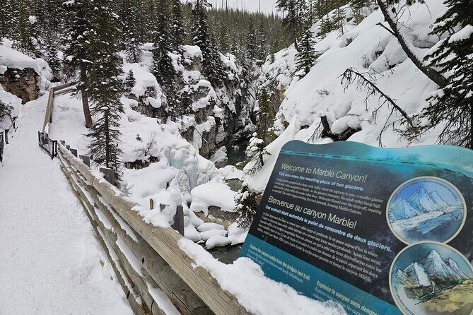Private Tour Experience at Radium Hot Springs and Kootenay Park - An In-Depth Look at the Itinerary