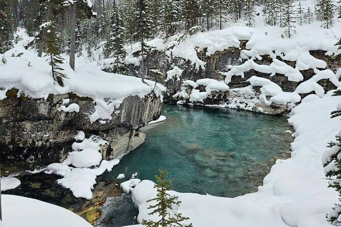 Private Tour Experience at Radium Hot Springs and Kootenay Park - The Sum Up: Who Will Love This Tour?