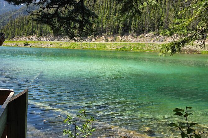 Private Tour Experience at Radium Hot Springs and Kootenay Park - FAQ