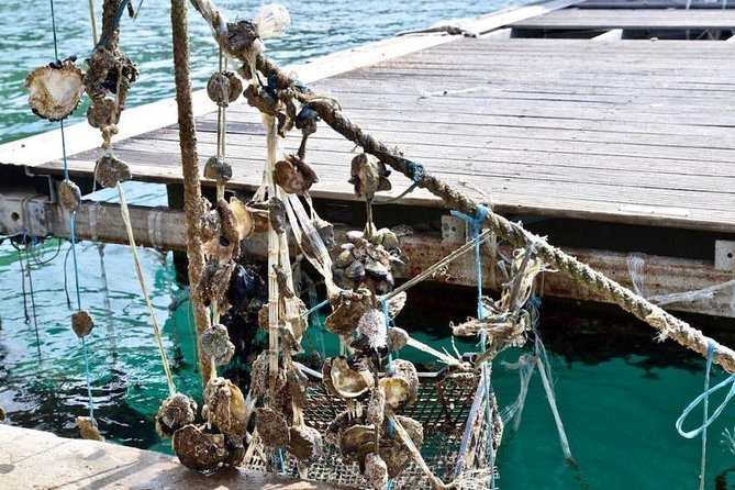 Private Tour Experience Dubrovnik North-West Countryside & Riviera - Why This Tour Offers Good Value