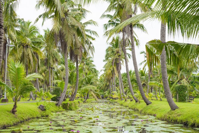 Private Tour: Floating Markets and Suan Sampran Day Trip from Bangkok - Who Will Enjoy This Tour?