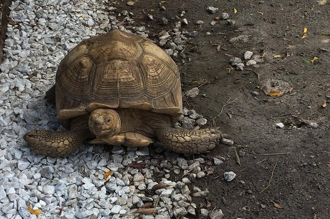 Private Tour: Florida Everglades Airboat Ride and Wildlife Adventure - Final Verdict: Is This Tour Worth It?