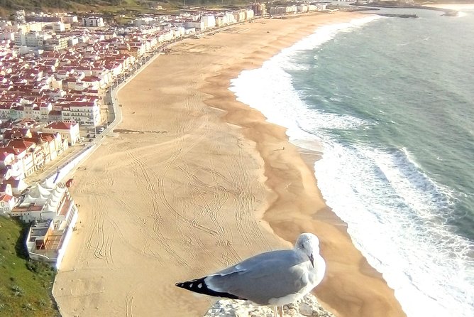 Private Tour for 1 to 8 People: Fátima, Batalha, Nazaré, and Óbidos - Cancellation and Booking Policy