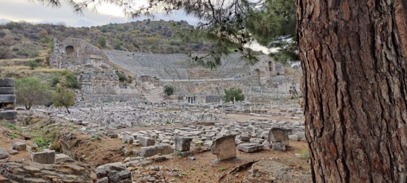 Private Tour for Cruise Guests Only: Best of Ephesus Tours - Authentic Voices and Practical Insights