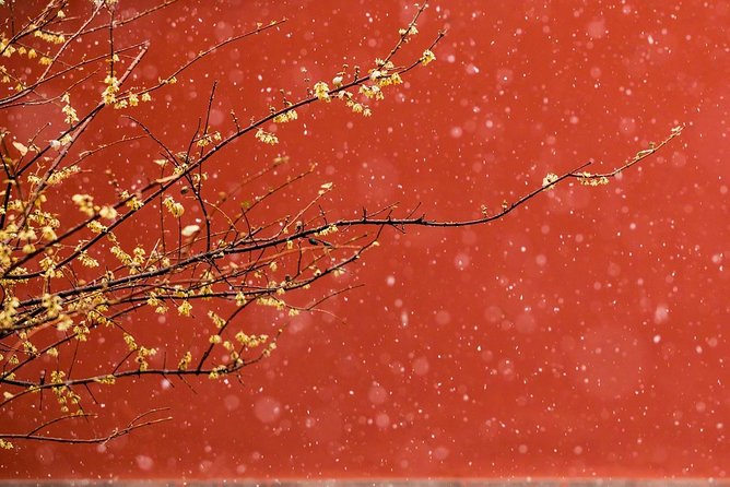 Private Tour: Forbidden City and Mutianyu Great Wall with Cable Car or Toboggan - FAQ