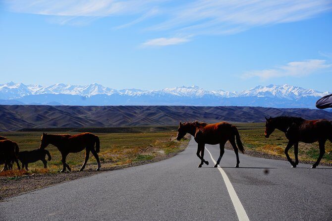 Private tour from Almaty 1 day Charyn canyon on comfortable SUV - Who Should Consider This Tour?