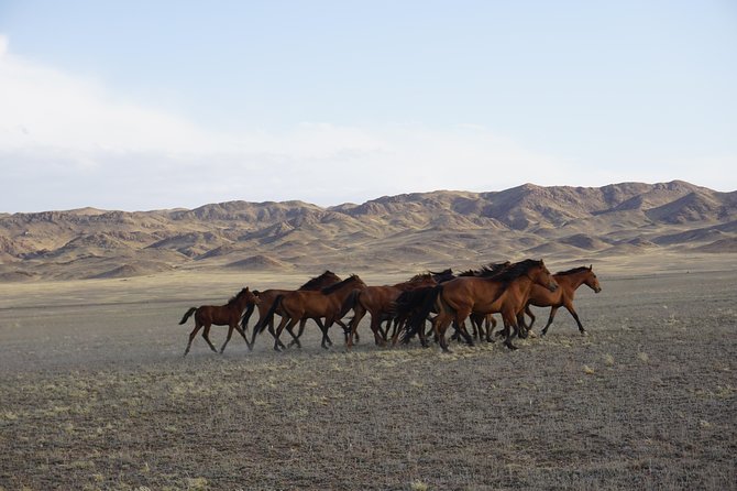 Private tour from Almaty Charyn canyon on Comfortable SUV - Summing It All Up