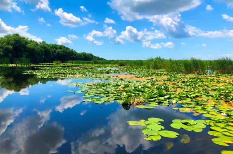 Private Tour from Bucharest to Danube Delta 2 Days Tour - Key Points