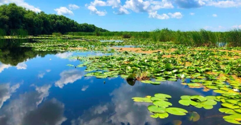 Private Tour from Bucharest to Danube Delta 2 Days Tour - How the Tour Works Logistically