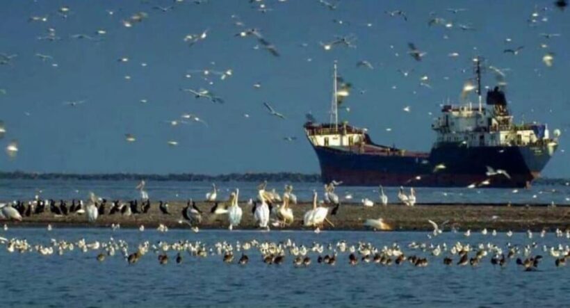 Private Tour from Bucharest to Danube Delta 2 Days Tour - FAQ