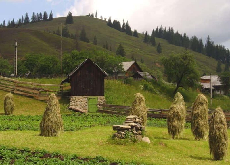 Private Tour from Bucharest to Painted Monasteries-UNESCO - Key Points