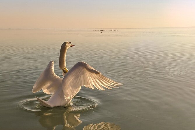 Private Tour From Budapest to a Top Hidden Treasure Region of Europe: Lake Balaton - Exploring Lake Balatons Charming Tihany Village