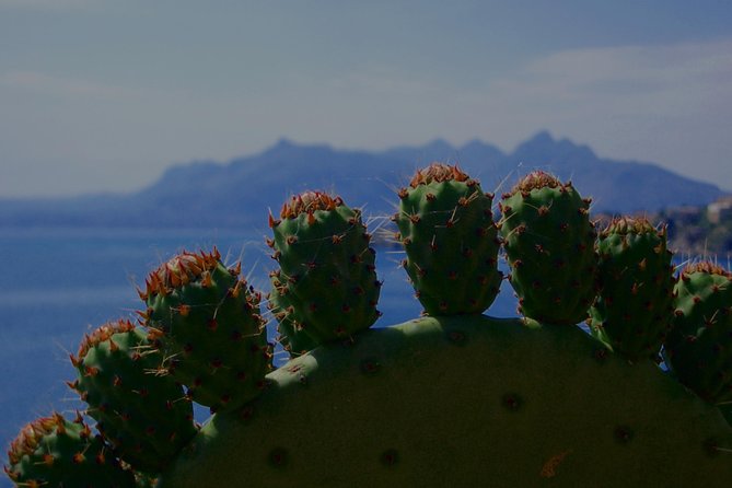 PRIVATE TOUR from Catania to Agrigento (Valley of Temple) and Piazza Armerina - The Starting Point: Comfort and Convenience