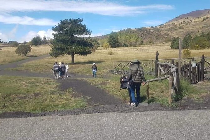 Private Tour from Catania to Etna Naxos and Taormina - What the Reviews Say