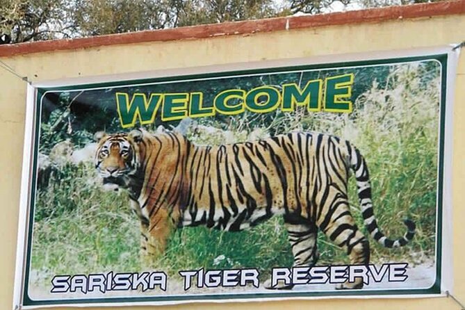 Private Tour from Delhi to Sariska Safari and Jaipur (1N/2D) - A Practical Overview of the Itinerary