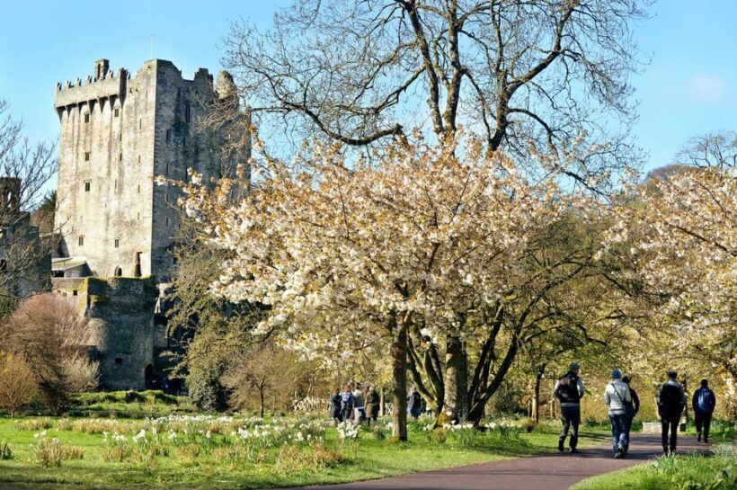Private Tour from Dublin to Blarney Castle & Rock of Cashel - The Itinerary Walkthrough