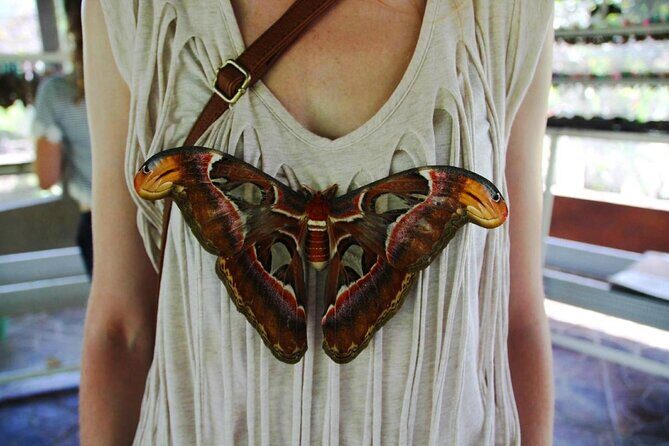 Private Tour from Leke-Leke Waterfall to Jatiluwih Rice Terrace - Key Points