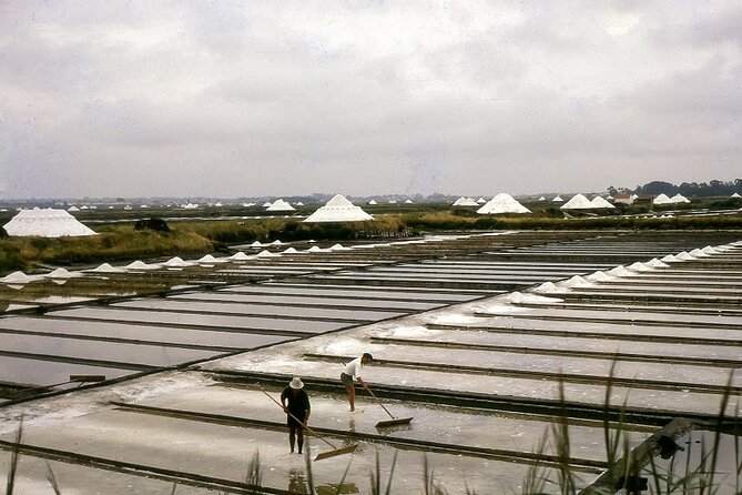 Private Tour: from Lisbon to Porto; visit to Óbidos, Fátima, Coimbra, Aveiro - The Journey Begins: From Lisbon to the Enchanting Óbidos