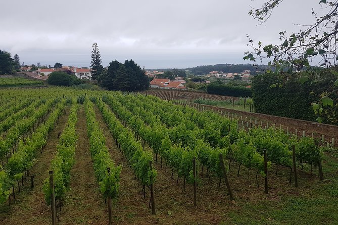 Private Tour from Lisbon to Sintra, Cabo da Roca, Cascais and Estoril - Final Thoughts