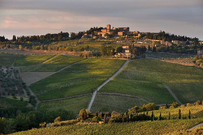 Private tour from Livorno port to Chianti Wine Region - A Closer Look at the Experience