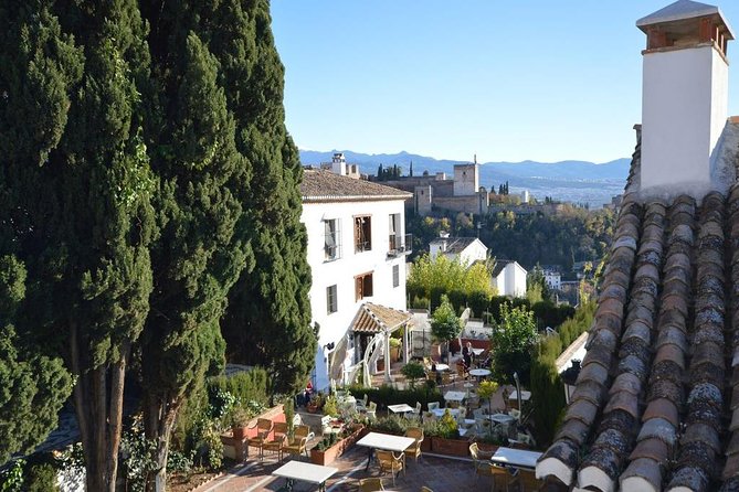 Private Tour From Malaga to the Alhambra Palace and Granada for up to 8 Persons - Enjoy Free Time in Granada