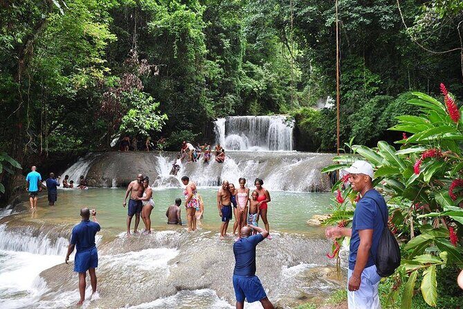 Private Tour from Negril to YS Falls and Pelican Bar - Introducing the Private Tour from Negril to YS Falls and Pelican Bar