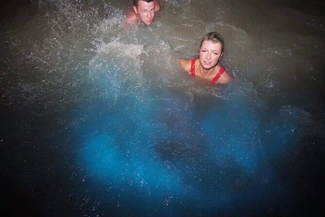 Private Tour from Ocho Rios Runaway Bay to the Luminous Lagoon - An In-Depth Look at the Tour Experience