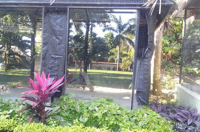 Private Tour From Ocho Rios To Konoko Falls And Garden and Shopping - Practicalities and Tips