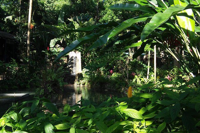 Private Tour From Ocho Rios To Konoko Falls And Garden and Shopping - Frequently Asked Questions