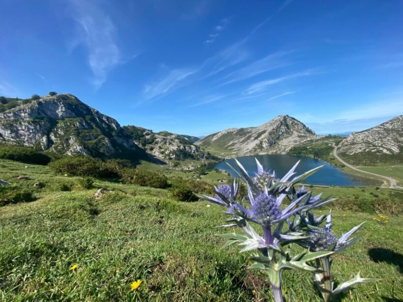 Private Tour from Oviedo to Covadonga and Europe Peaks lakes - Who Will Love This Tour?