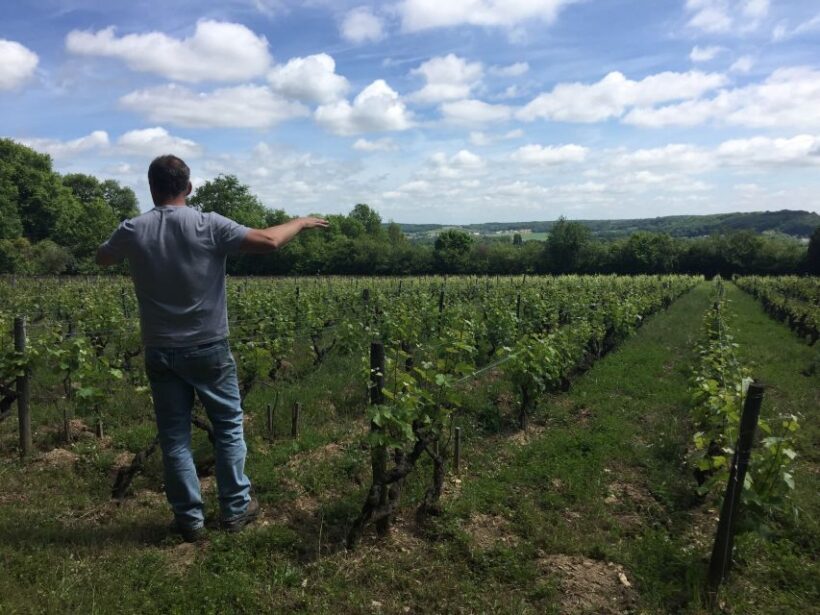Private Tour from Paris to Loire Castles & Michelin Lunch - Who Should Consider This Tour?