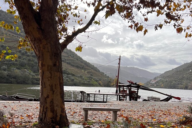 Private Tour From Porto To Douro Valley With River Boat Ride - Practical Considerations