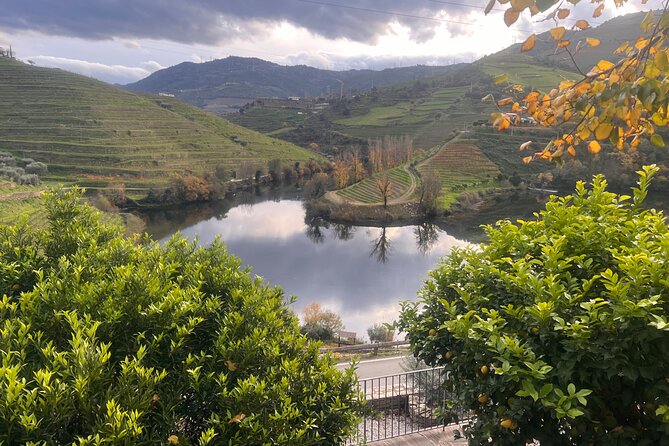 Private Tour From Porto To Douro Valley With River Boat Ride - The Sum Up